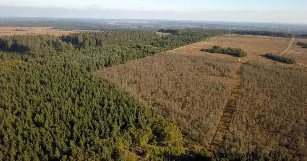 La réserve naturelle des Hautes Fagnes va s’agrandir de 845 hectares ...