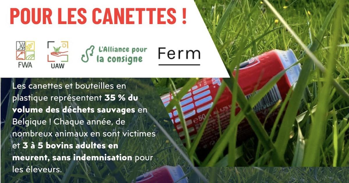 Les canettes dans les champs tuent encore dans les étables... | Vedia